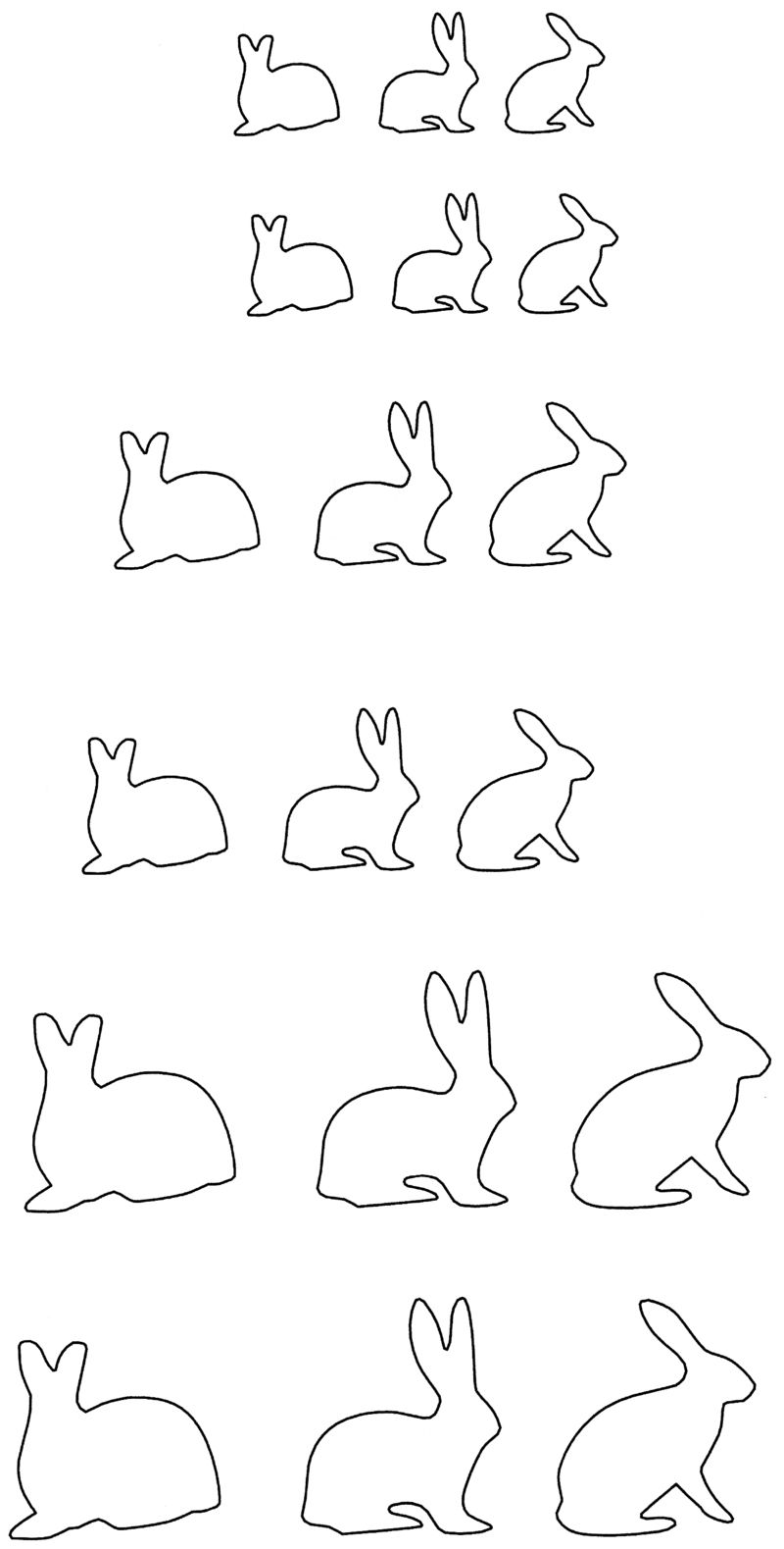 des petits lapins